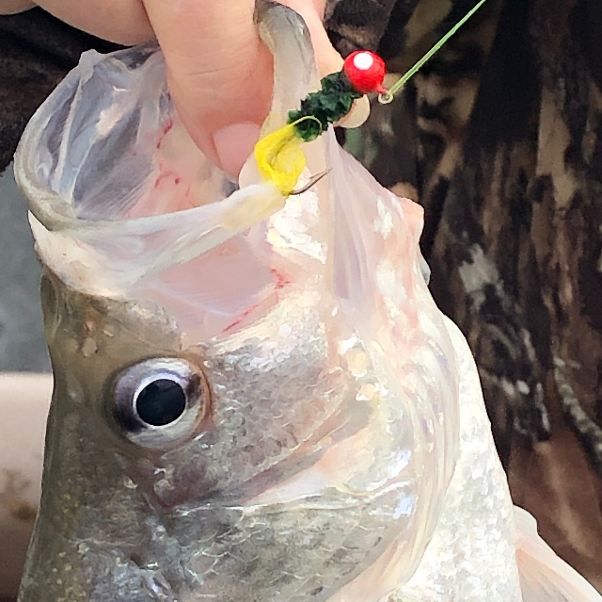 BP JIGS – Happy Fishing!